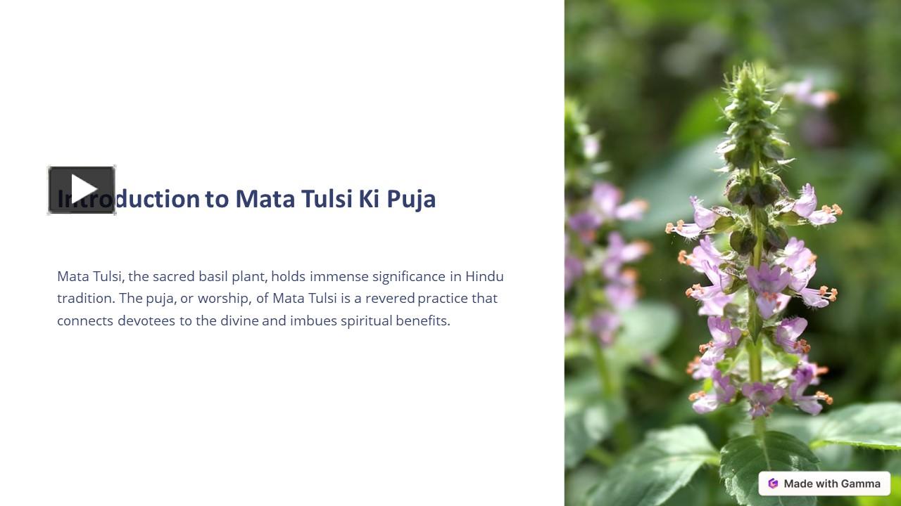 PPT – माता तुलसी की पूजा: क्या है मान्यता और क्या हैं लाभ PowerPoint ...