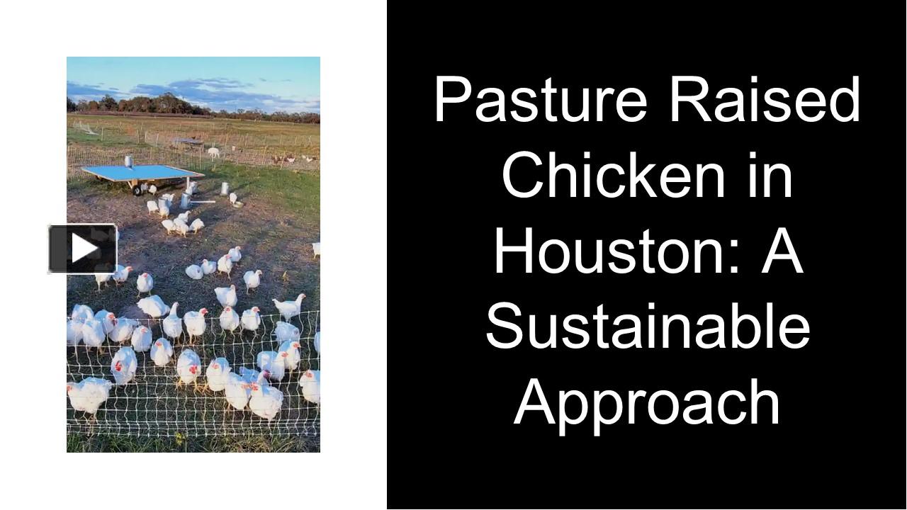 PPT – High Quality Pasture Raised Chicken in Houston PowerPoint ...
