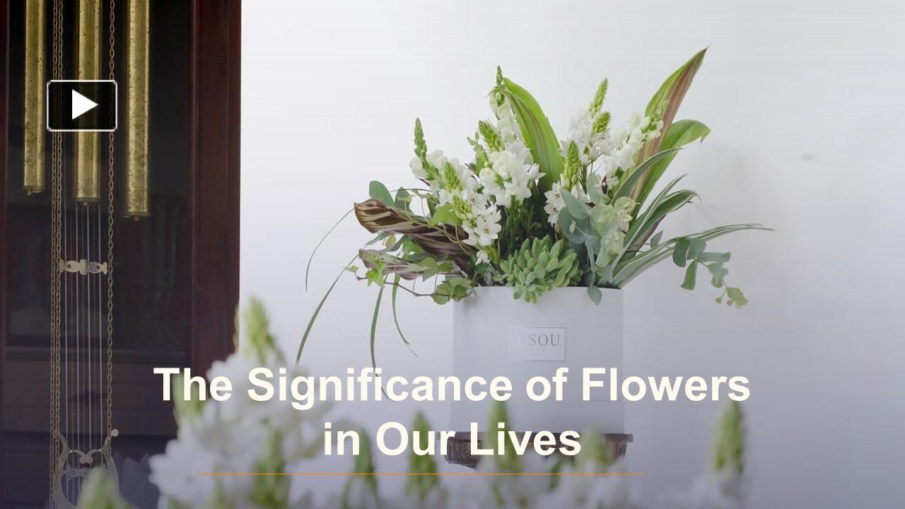 PPT – The Significance of Flowers in Our Lives PowerPoint presentation ...