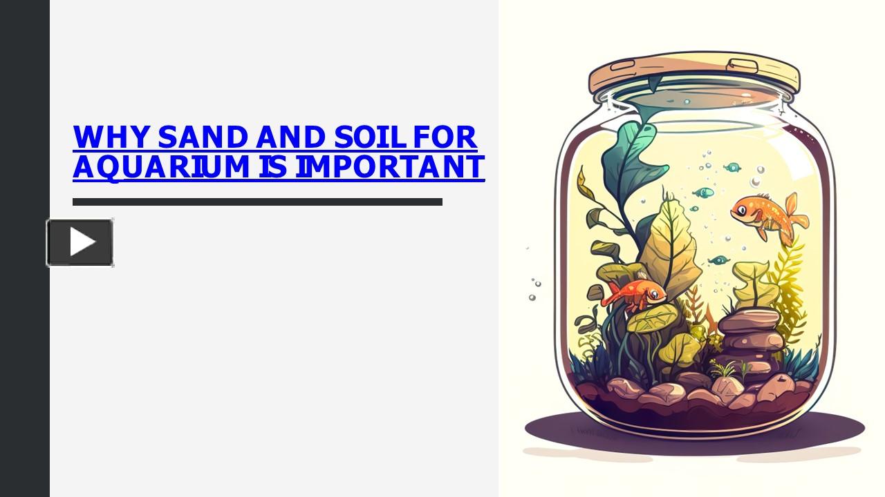 PPT – Why Sand and Soil for Aquarium is Important PowerPoint ...