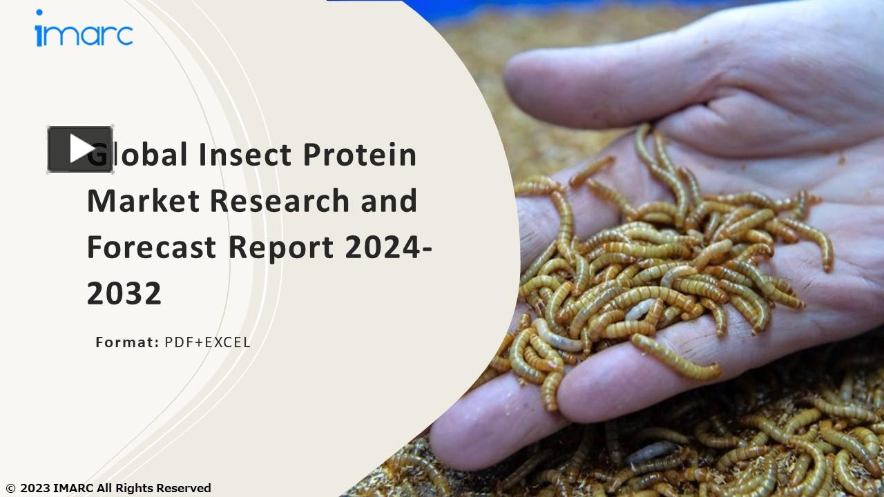 PPT – Insect Protein Market Growth, Demand and Challenges of the Key ...