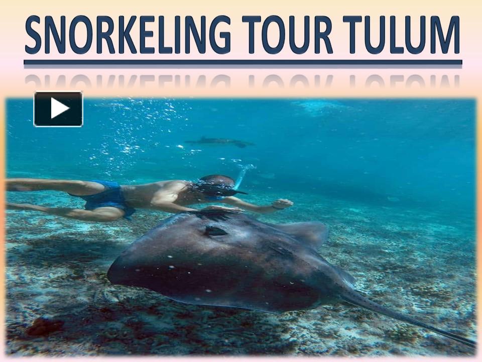 PPT – Snorkeling Tour Tulum PowerPoint presentation | free to download ...