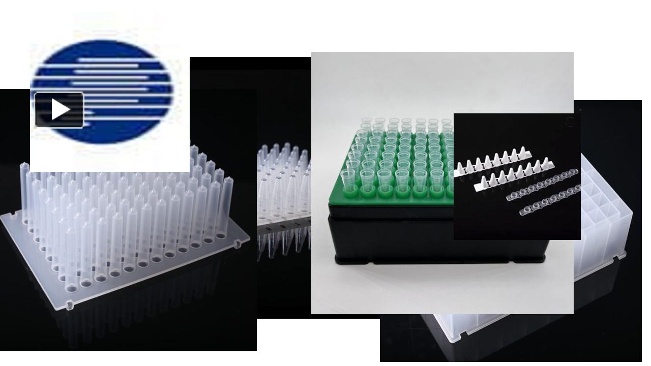 PPT – China Pipette Tip Manufacturer Co., Ltd. PowerPoint presentation ...