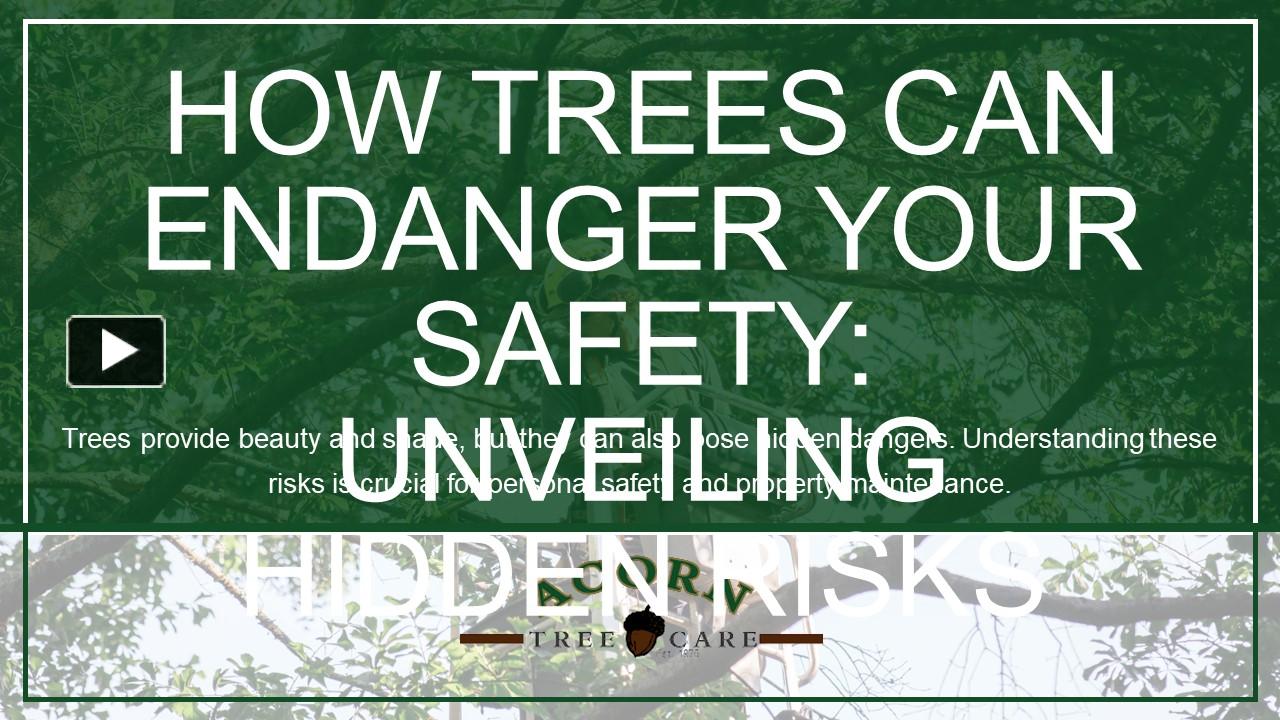 How Trees Can Endanger Your Safety: Unveiling Hidden Risks presentation ...