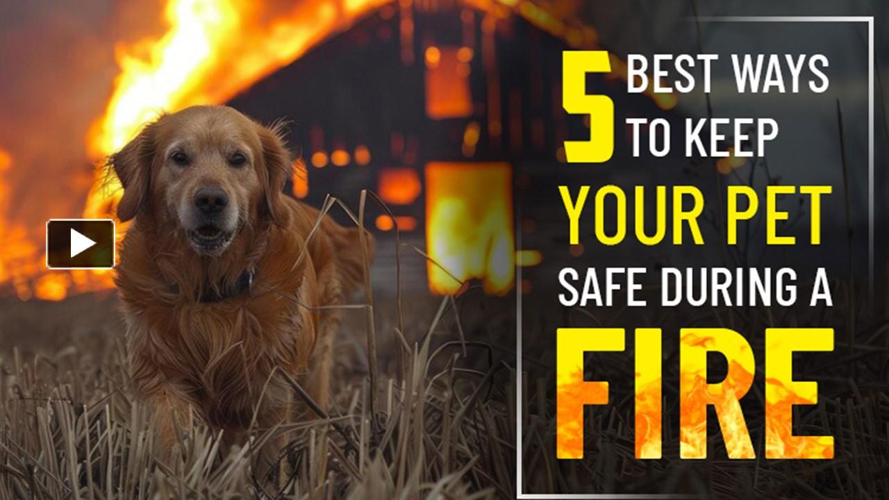 PPT – 5 Best Ways to Keep Your Pet Safe during a Fire PowerPoint ...