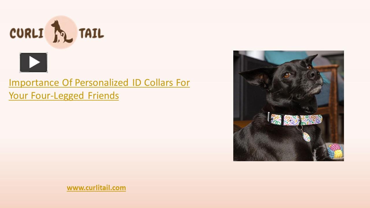 PPT – Personalized ID Collars for Your Four-Legged Friends | CurliTail ...
