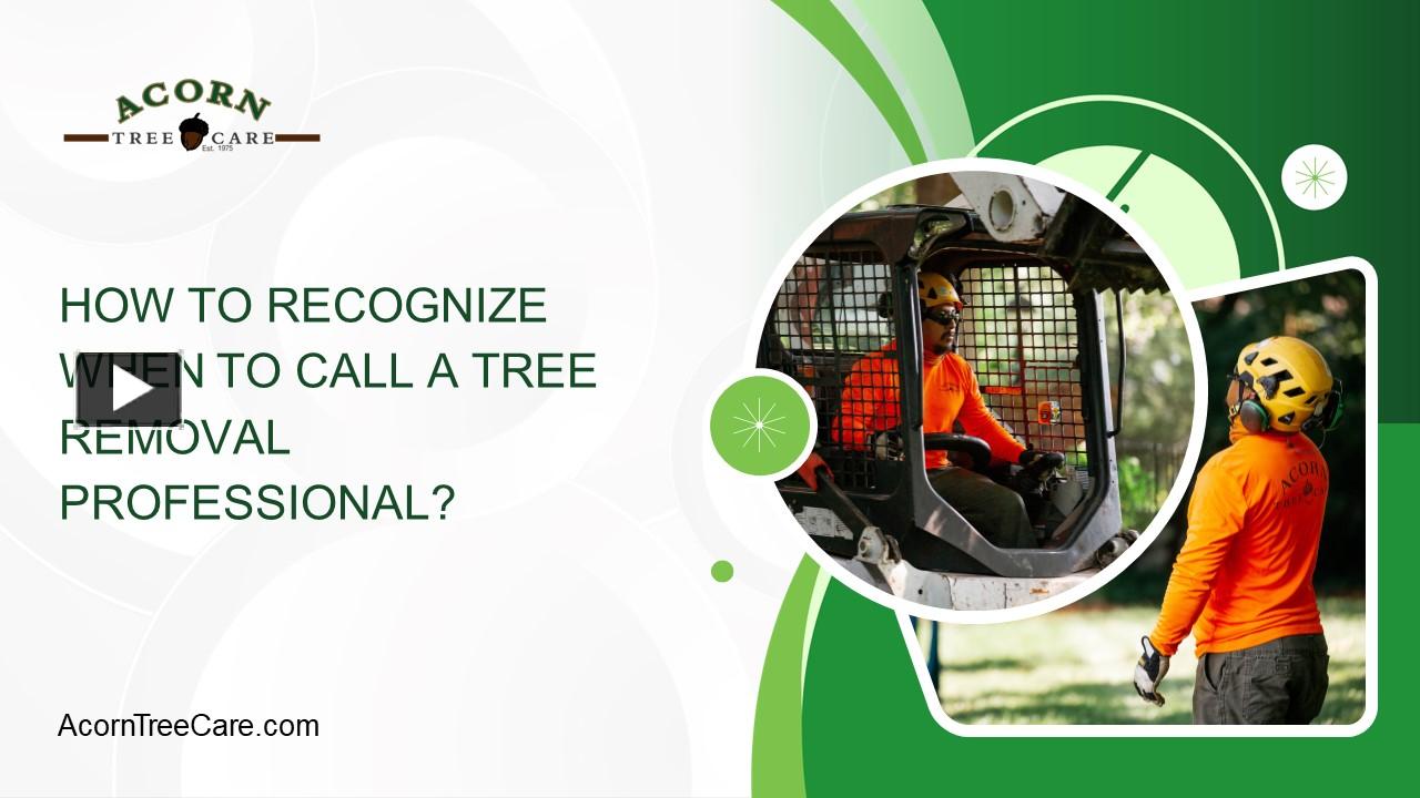 How to Recognize When to Call a Tree Removal Professional presentation ...