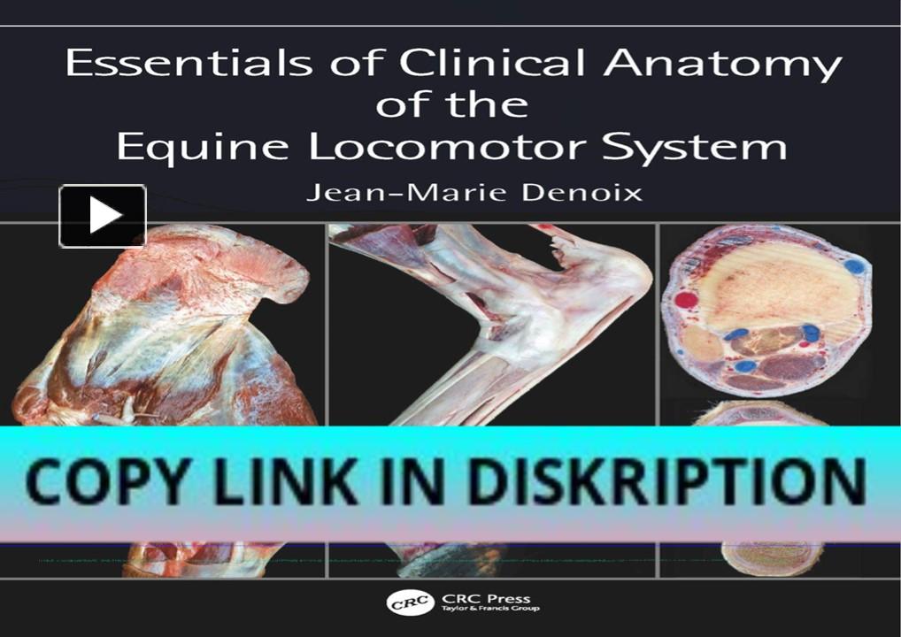 PPT – PDF/READ/DOWNLOAD Essentials of Clinical Anatomy of the Equi ...