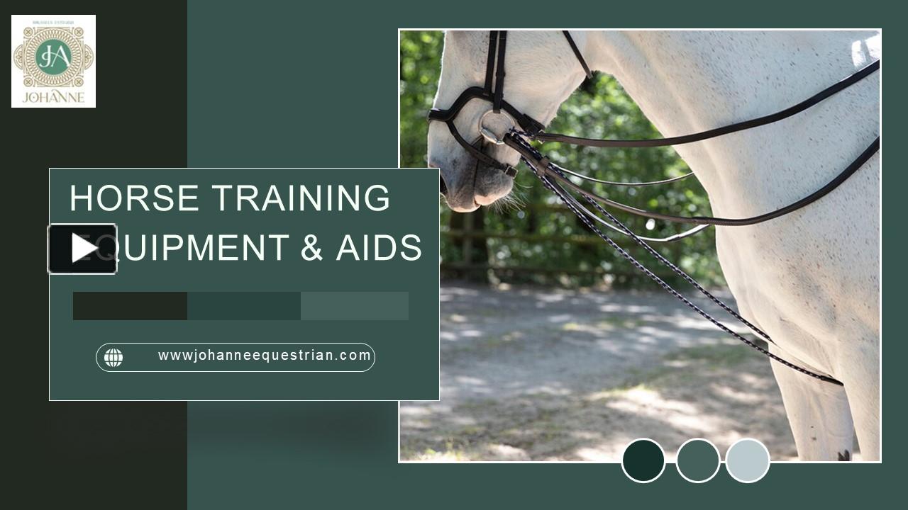 PPT – Horse Training Equipment & Aids PowerPoint presentation | free to ...
