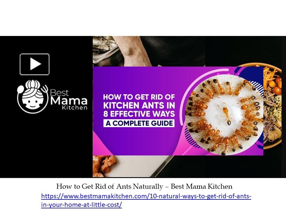 How to Get Rid of Ants Naturally – Best Mama Kitchen presentation ...