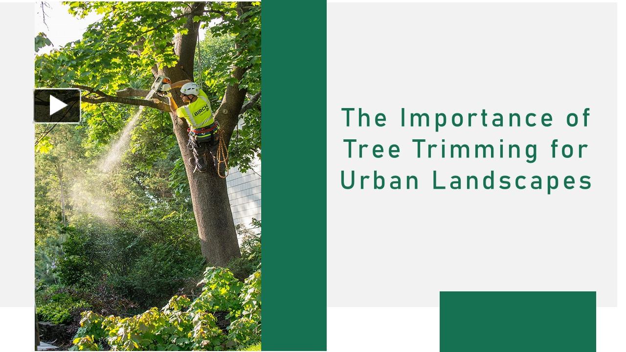 PPT – The Importance of Tree Trimming for Urban Landscapes PowerPoint ...