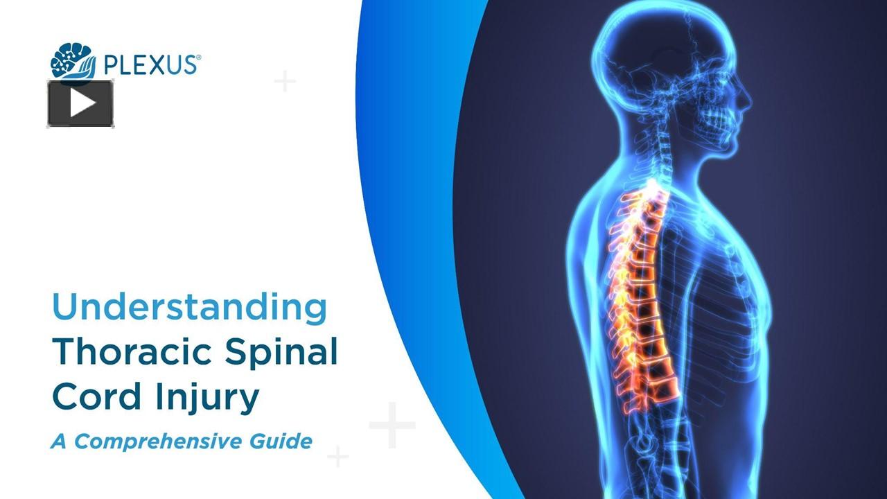 PPT – Understanding thoracic Spinal Cord Injury : A Comprehensive Guide ...