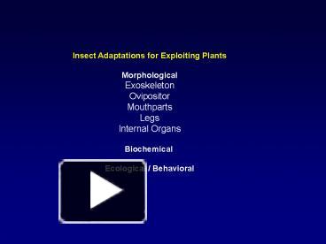 Insect Adaptations for Exploiting Plants presentation | free to view