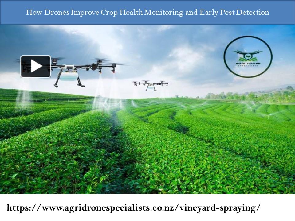 How Drones Improve Crop Health Monitoring and Early Pest Detection ...