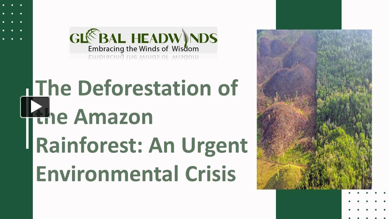 The Deforestation of the Amazon Rainforest: An Urgent Environmental ...