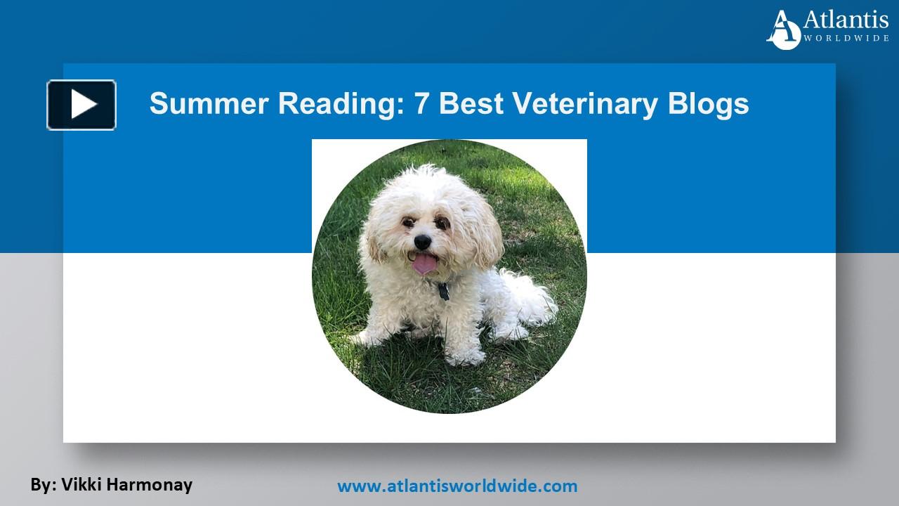 PPT – Summer Reading: 7 Best Veterinary Blogs PowerPoint presentation ...