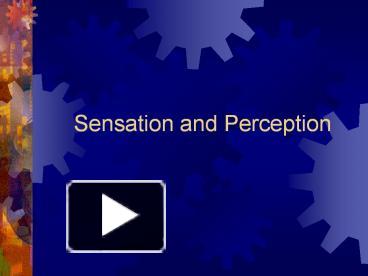PPT – Sensation and Perception PowerPoint presentation | free to view ...
