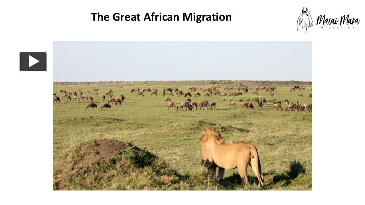 The great african migration (1) presentation | free to download