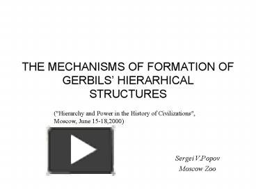 PPT – THE MECHANISMS OF FORMATION OF GERBILS HIERARHICAL STRUCTURES ...