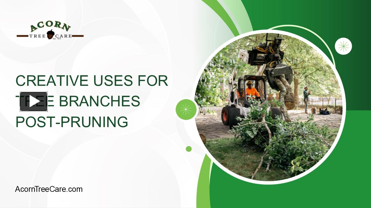 PPT – Creative Uses for Tree Branches Post-Pruning PowerPoint ...