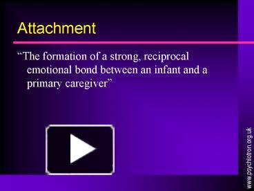 PPT – Attachment PowerPoint presentation | free to download - id: 9af00 ...