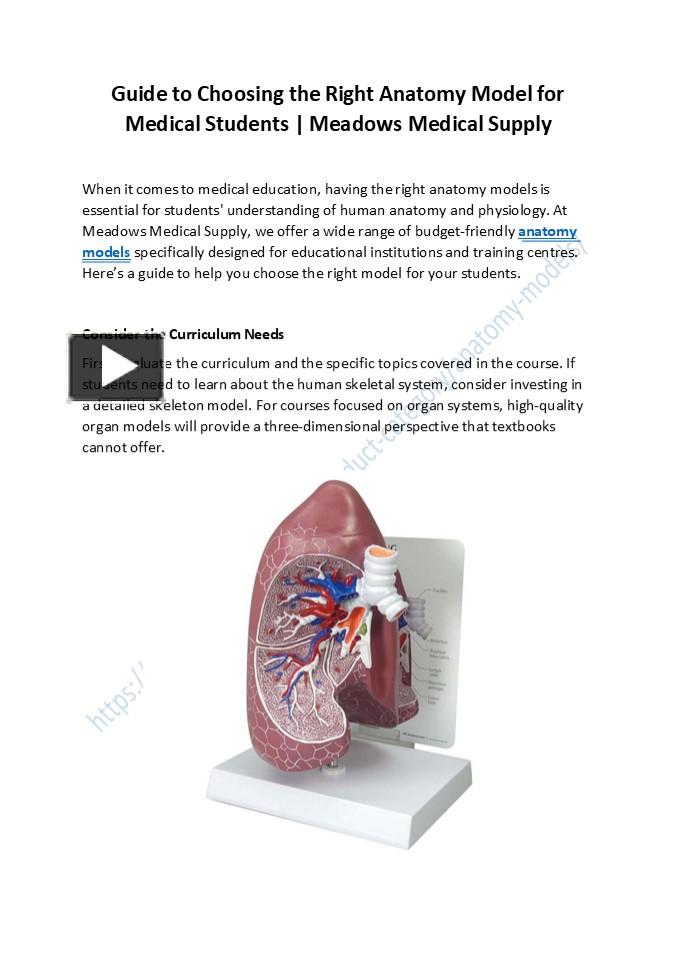 Guide to Choosing the Right Anatomy Model for Medical Students ...