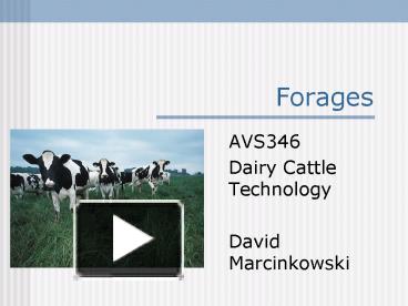 Forages presentation | free to view