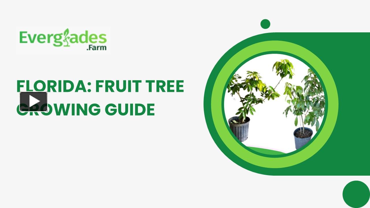 Florida: Fruit Tree Growing Complete Guide presentation | free to download