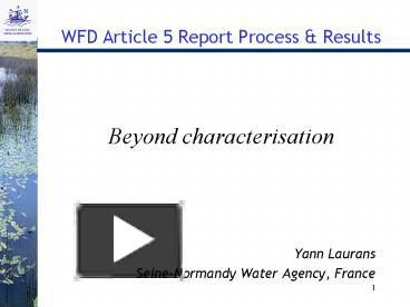 WFD Article 5 Report Process presentation | free to view