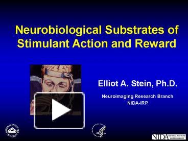 PPT – Neurobiological Substrates of Stimulant Action and Reward ...