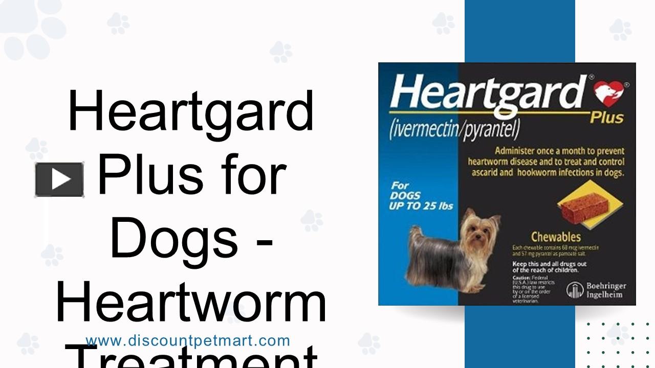 PPT – Heartgard Plus for Dogs - Trusted Heartworm Preventions ...