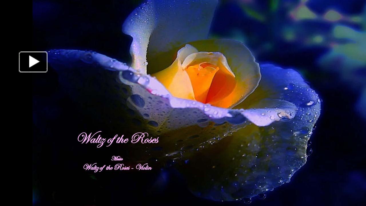 PPT – Waltz of the Roses (Hy-Van) PowerPoint presentation | free to ...