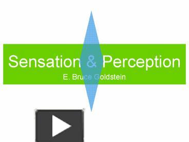 PPT – Sensation PowerPoint presentation | free to view - id: 9b7b4-YzU1Z