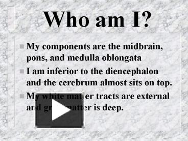 PPT – Who am I PowerPoint presentation | free to view - id: 9b7d2-YTY2M