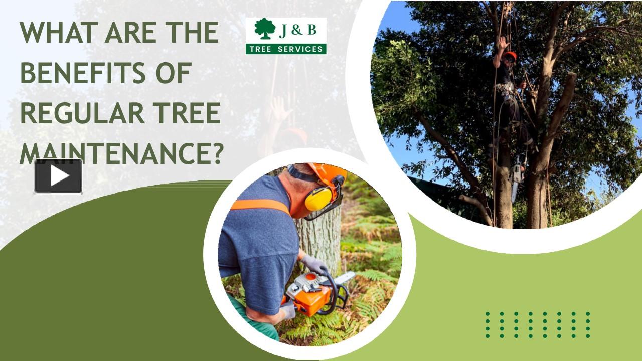PPT – What are the Benefits of Regular Tree Maintenance? PowerPoint ...