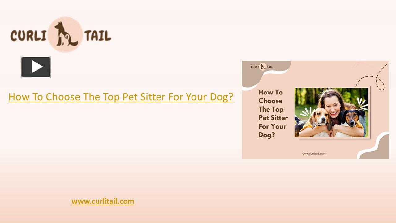 How to Choose the Top Pet Sitter for Your Dog | CurliTail presentation ...