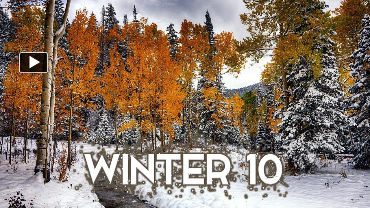 PPT – Zima - Winter (Anna - Dorota) 10 PowerPoint presentation | free ...