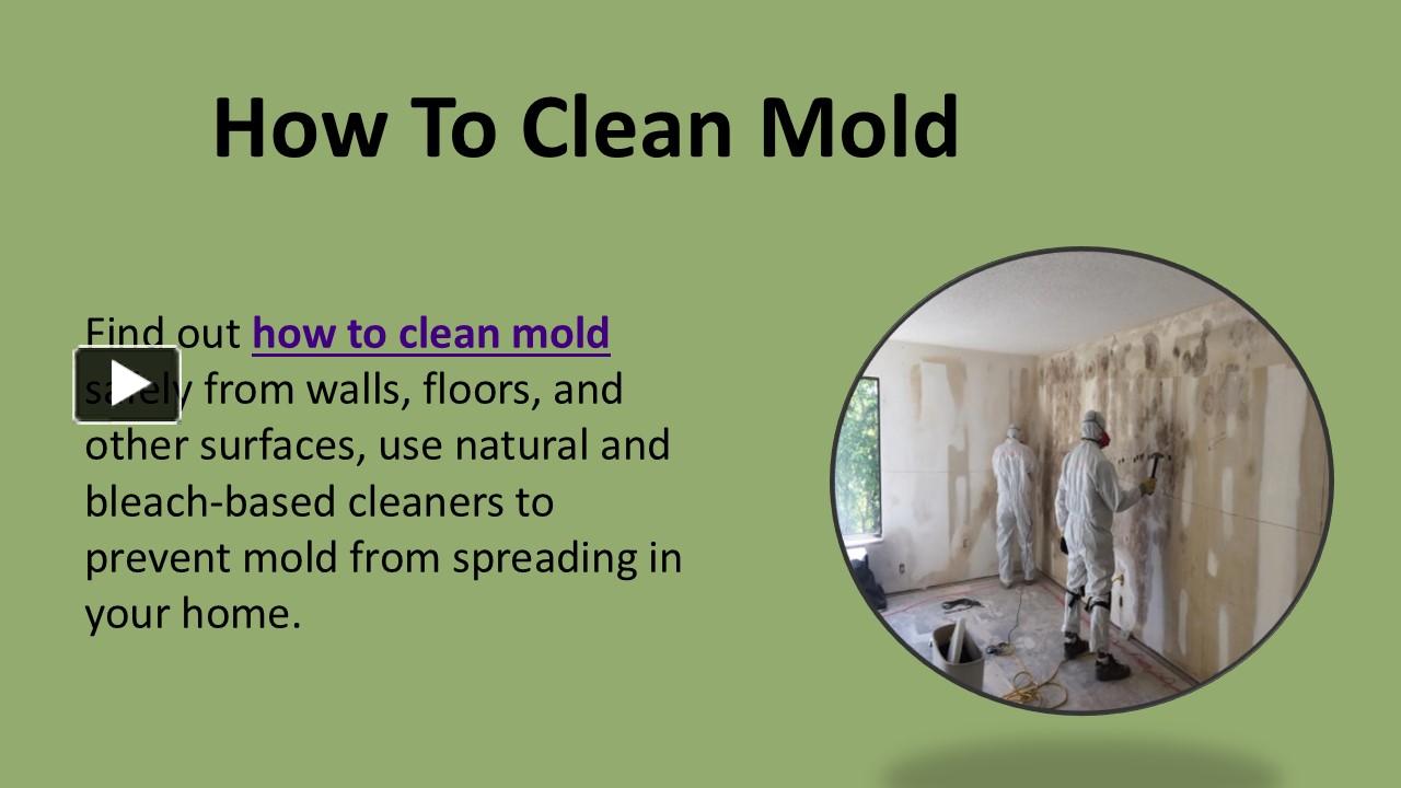 PPT – How To Clean Mold PowerPoint presentation | free to download - id ...