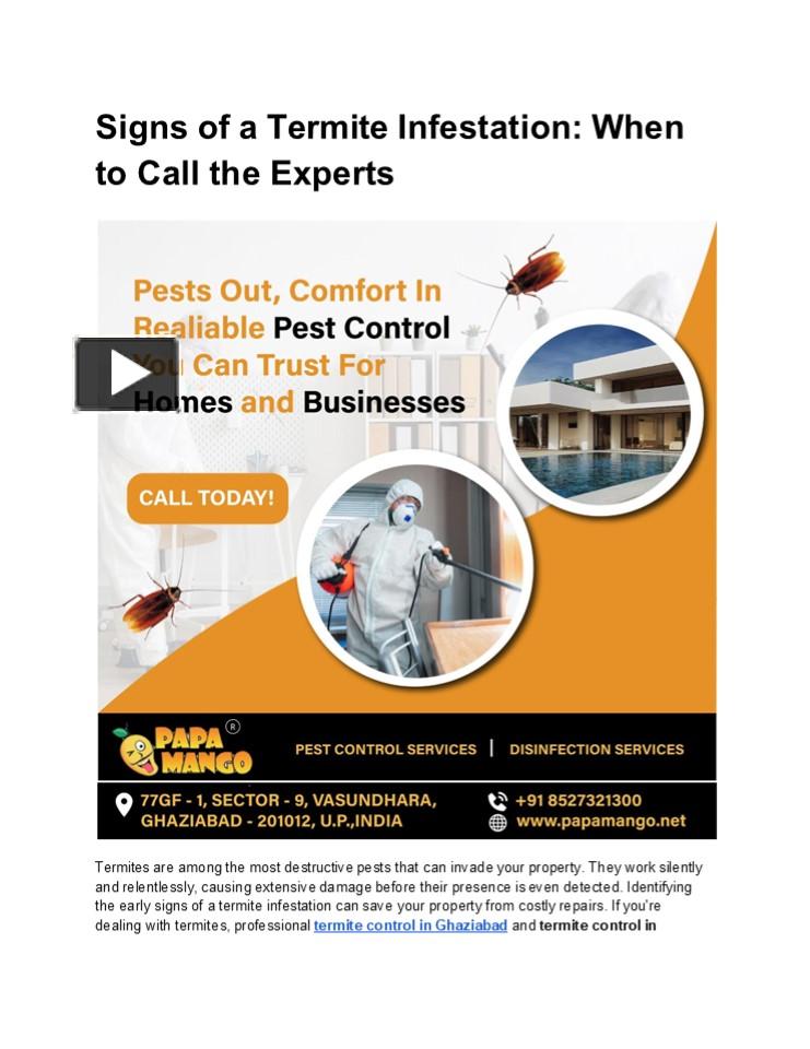 PPT – Signs of a Termite Infestation: When to Call the Experts ...