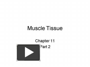 PPT – Muscle Tissue PowerPoint presentation | free to view - id: 9bf26 ...
