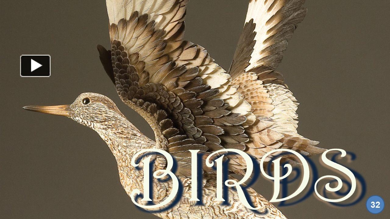 PPT – Birds 32 (Birds in Art. Grainger McKoy) PowerPoint presentation ...