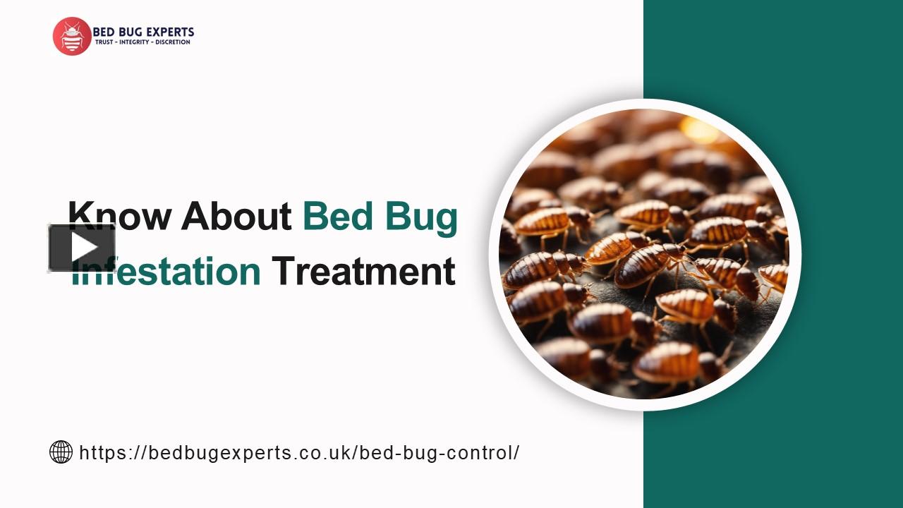 PPT – Know About Bed Bug Infestation Treatment PowerPoint presentation ...