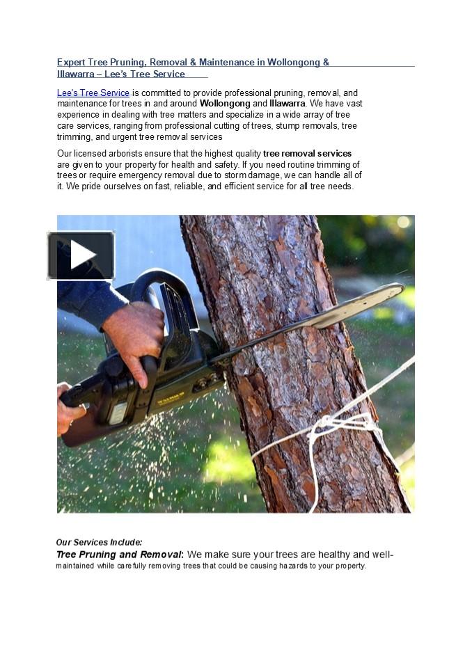 PPT – Expert Tree Pruning, Removal & Maintenance in Wollongong ...
