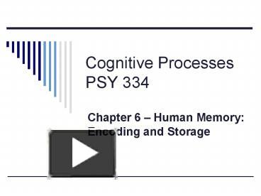 PPT – Cognitive Processes PSY 334 PowerPoint presentation | free to ...