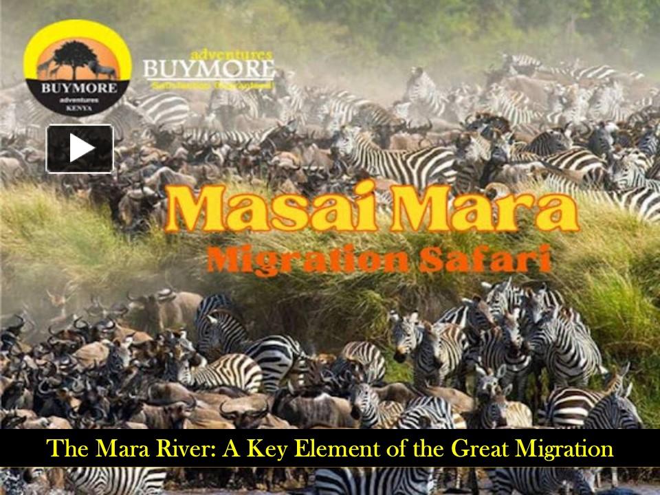 The Mara River: A Key Element of the Great Migration presentation ...