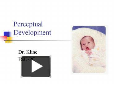 Perceptual Development presentation | free to view