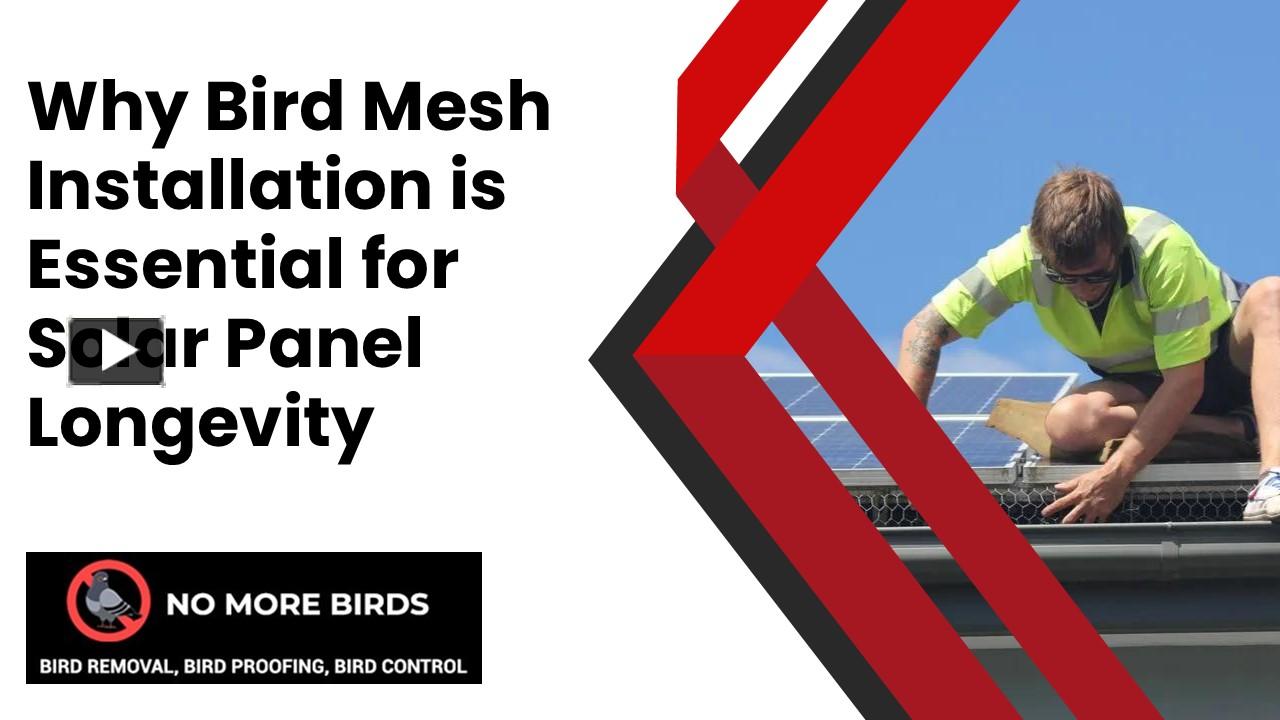 Why Bird Mesh Installation is Essential for Solar Panel Longevity ...