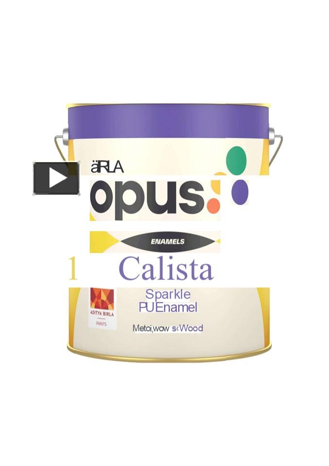 PPT – Premium Enamels for Walls And Wood - Birla Opus PowerPoint ...