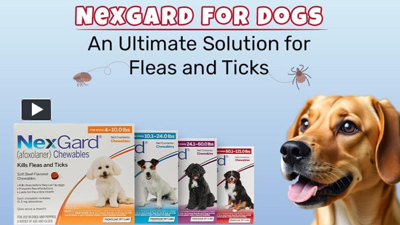 Nexgard for Dogs-An Ultimate Solution for Fleas and Ticks presentation ...