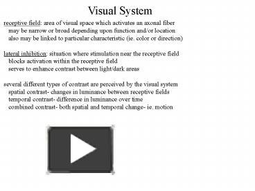 PPT – Visual System PowerPoint presentation | free to view - id: 9cb2a ...